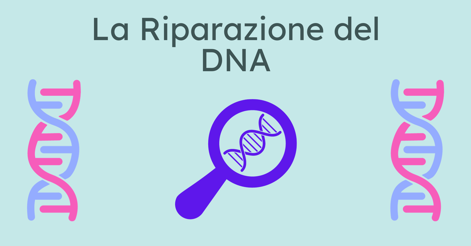 La Riparazione del DNA - Immersimed La Riparazione del DNA - Immersimed